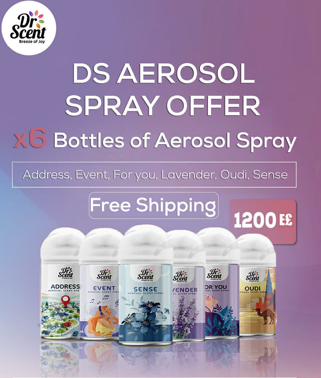 DS AEROSOL SPRAY OFFER (6 PCS) – DR SCENT EG.